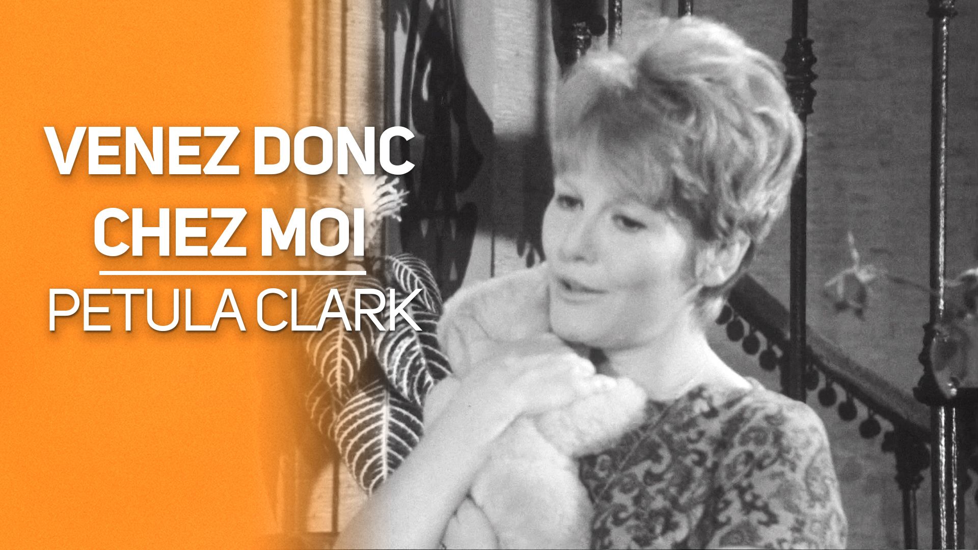 Petula Clark 90 ans et à l'honneur chez Melody - Melody TV